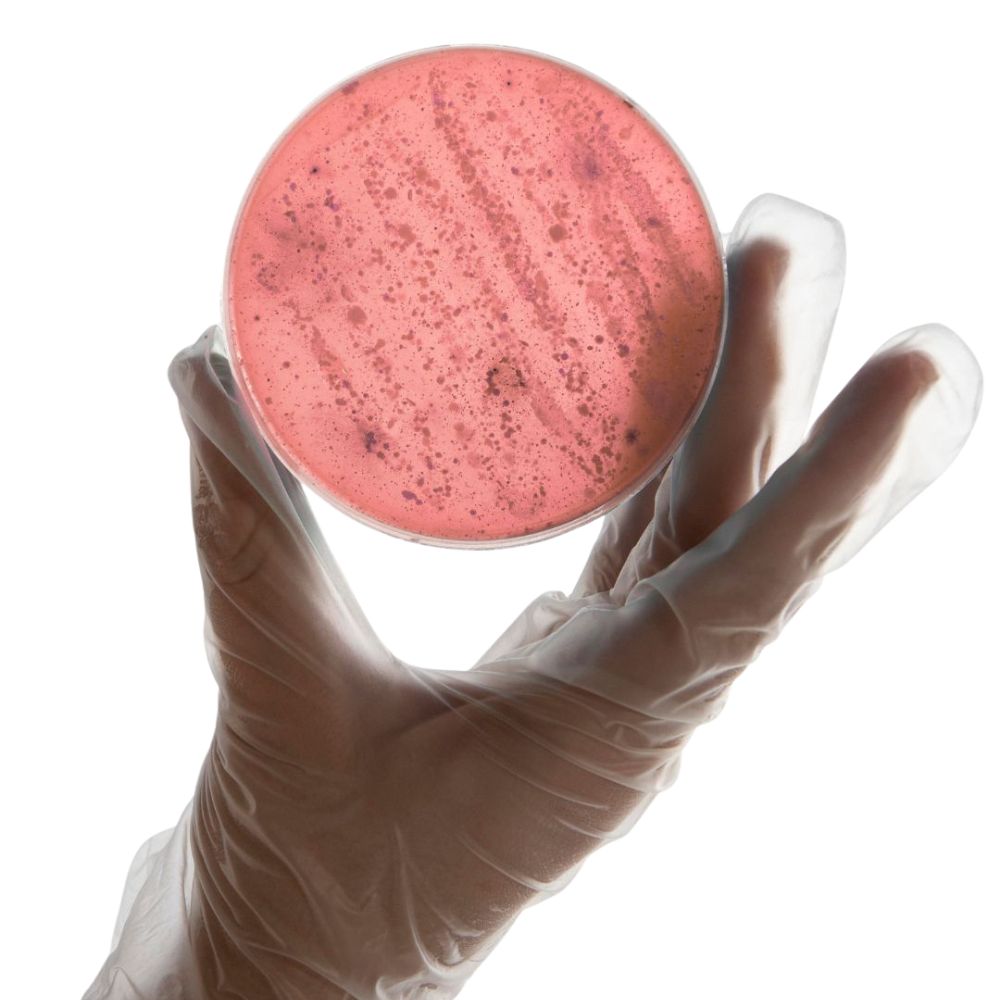 Advanced Longevity Blood Test for Women